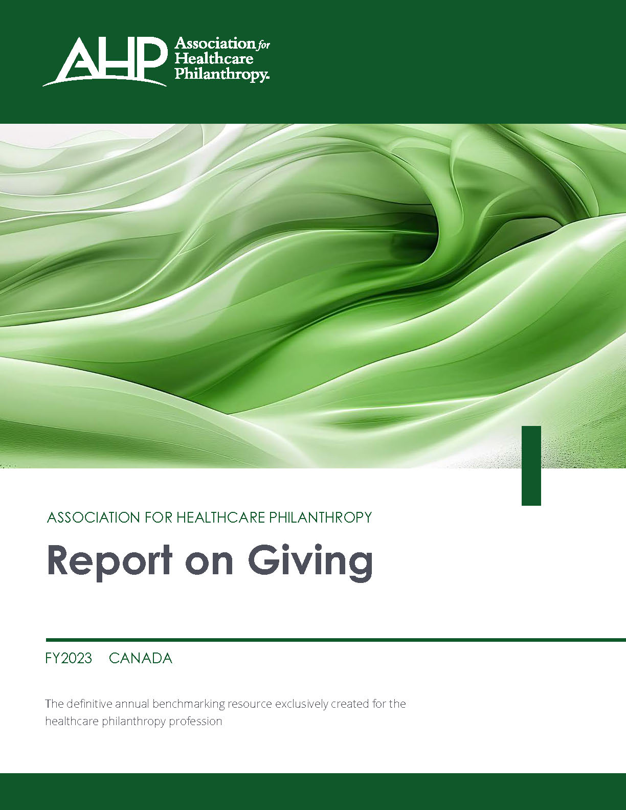 Item Detail 2024 Report On Giving Canada Digital Report 